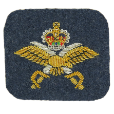 RAF Physical Training Instructor (PTI) Arm Badge - Mess Dress – Hand & Lock